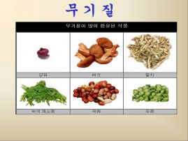 무기질 레포트 자료-1페이지