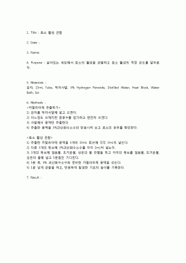 실험보고서 - 효소활성확인-1페이지