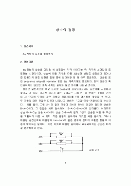 상순의 결정 레포트 자료-1페이지