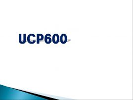 UCP600 레포트 자료-1페이지