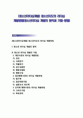 [청소년리더십개발] 청소년지도의 리더십 개발방법(청소년리더십 개발의 원칙과 기법-방법)-1페이지