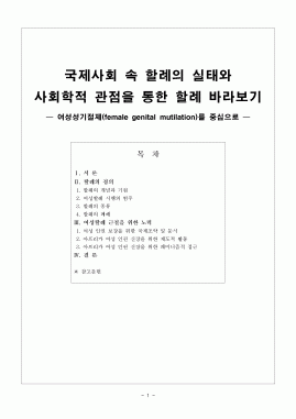 국제사회 속 할례의 실태와 사회학적 관점을 통한 할례 바라보기 ― 여성성기절제(female genital mutilation)를 중심으로 ―-1페이지