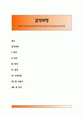 [감각의 과정] 감각과정(촉각,미각,후각,청각,시각과정,빛수용기,색지각)-1페이지