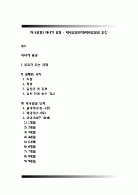 [태내발달] 태내기 발달 - 태내발달단계(태내발달의 과정)-1페이지