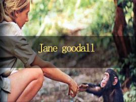 Jane goodall [제인 구달 생애, 제인 구달 업적, 제인 구달 조사]-1페이지