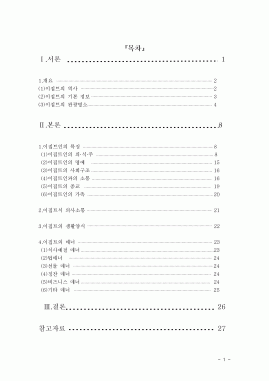 [국제매너] 이집트에 대하여-1페이지