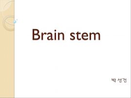Brain stem의 전반적인 기능 및 역활-1페이지
