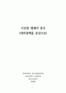 시진핑 체제의 중국 -1페이지