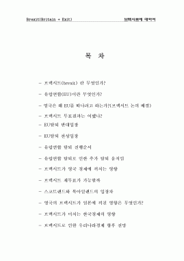 브렉시트/ 영국 EU 탈퇴 정리-1페이지