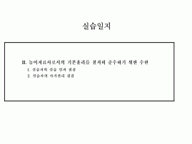  실습일지 - 놀이치료사로서의 기본윤리를 철저히 준수하기 위한 수련 ( 실습자의 실습 일과 점검, 실습자의 자기관리 점검 )-1페이지
