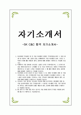 SK C&C_자기소개서-1페이지