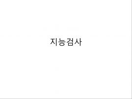 지능검사 레포트 자료-1페이지