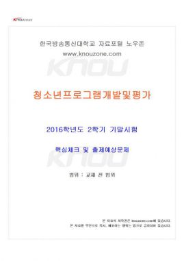 2016년 2학기 청소년프로그램개발및평가 기말시험 핵심체크-1페이지