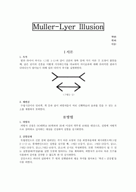 Muller-Lyer Illusion(뮐러-라이어 착시)실험보고서-1페이지