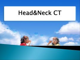 두경부 (Head & Neck) CT 에 관하여-1페이지