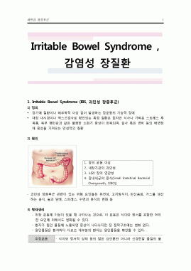 Irritable Bowel Syndrome (IBS, 과민성 장증후군)-1페이지