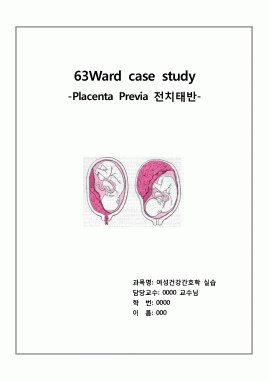 Placenta Previa 전치태반 케이스 스터디, 전치태반 간호과정, 전치태반 case study, 전치태반 사례연구, 전치태반 전치태반,-1페이지