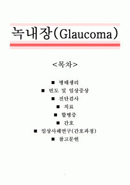 녹내장 케이스-1페이지