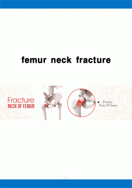 대퇴경부골절 케이스 (femur neck fracture CASE, 대퇴경부골절 케이스, 대퇴부 골절 케이스, 대퇴경부골절 간호과정, 대퇴경부골절 사례연구, FEMORAL FRECTURE)-1페이지