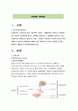 요로결석ureter stone 케이스-1페이지