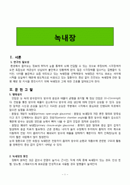 녹내장 케이스-1페이지