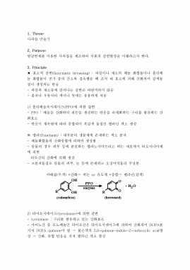[가공학] 항갈변제를 이용한 사과칩 레포트-1페이지