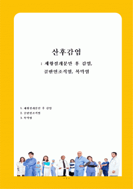 산후감염 레포트 자료-1페이지