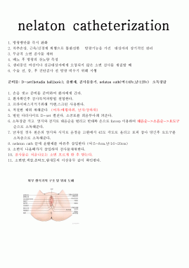 각종 cath 목적과 환자관리-1페이지