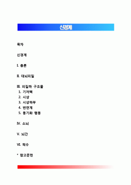 신경계 레포트 자료-1페이지