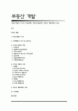 부동산개발의 의의와 유형(종류), 부동산개발과정, 부동산 개발계획의 내용-1페이지