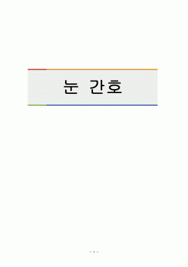눈 간호 레포트 자료-1페이지