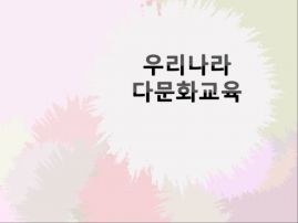 한국 다문화교육,다문화교육의 이해,다문화교육이론,다문화교육대상-다문화가정자녀,다문화교육정책,다문화교육사례-1페이지