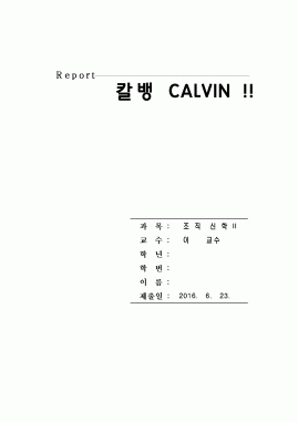 칼뱅 Calvin 레포트 자료-1페이지