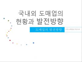 국내외 도매업의 현황과 발전방향-1페이지