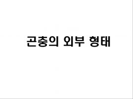 곤충의 외부 형태-1페이지