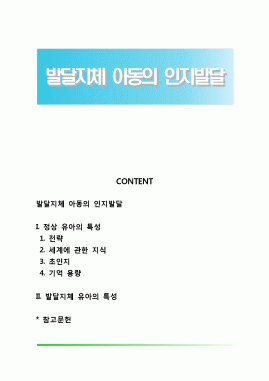 발달지체 아동의 인지발달-1페이지