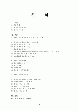 리스본조약 레포트 자료-1페이지