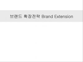 브랜드 확장전략 Brand Extension - 브랜드 확장전략-1페이지