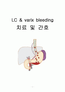 LC & varix bleeding 치료 및 간호-1페이지
