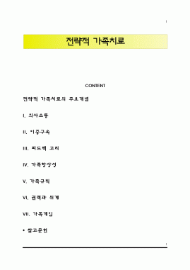전략적 가족치료의 주요개념-1페이지