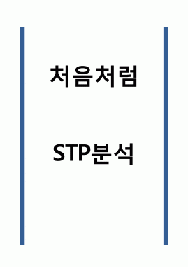 처음처럼 STP분석-1페이지