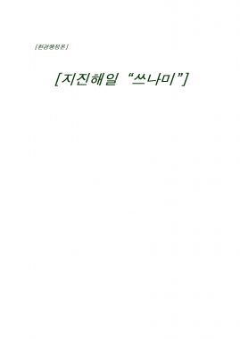 환경행정론 - 지진해일 “쓰나미”-1페이지