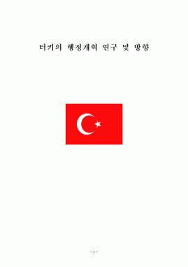 [비교발전행정론] 터키의 행정개혁 연구 및 방향-1페이지