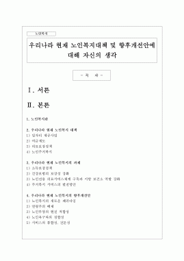 우리나라 현재 노인복지대책 및 향후개선안에 대해 자신의 생각-1페이지