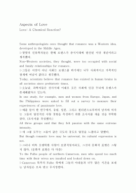 reading explorer 4 2A Love A Chemical Reaction? 해석-1페이지