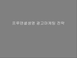 프루덴셜생명 광고마케팅 전략-1페이지