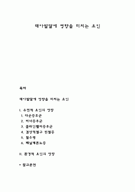 [사회과학] 태아발달에 영향을 미치는 요인-1페이지