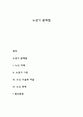 노년기 문제점-1페이지