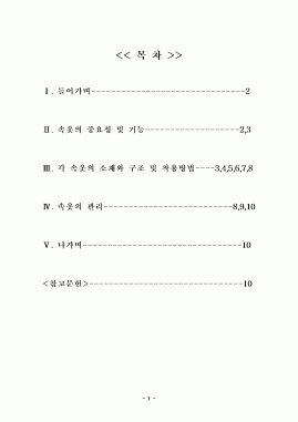 속옷에 대한 고찰(중요성 기능 소재 착용방법 등)-1페이지