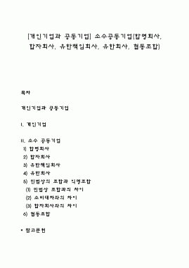 [개인기업과 공동기업] 소수공동기업(합명회사 합자회사 유한책임회사 유한회사 협동조합)-1페이지